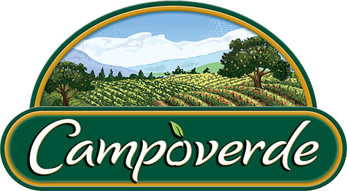 Campoverde – CPE DIRECTO