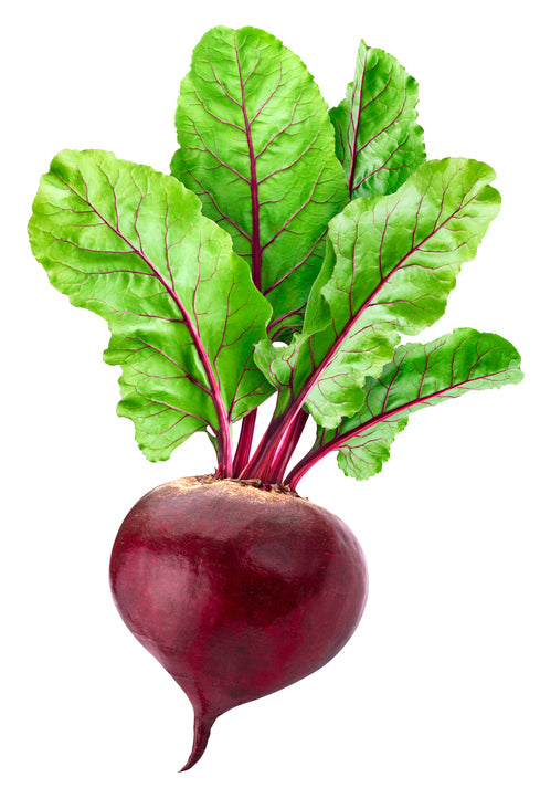 Beets (25lb) – CPE DIRECTO