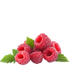 Raspberries (12/6oz) – CPE DIRECTO
